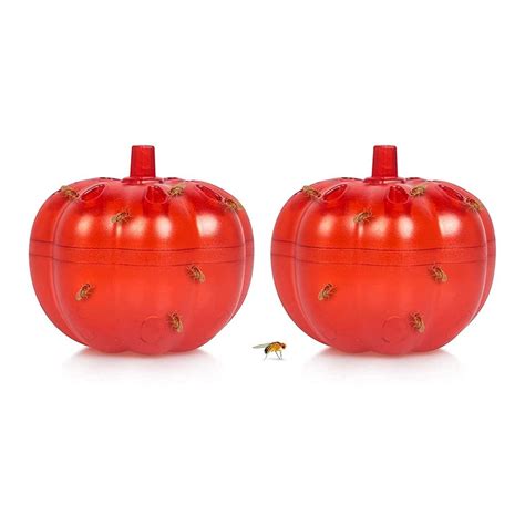 Gnat Killer For Indoor Gnat Trap For Kitchen Home Fruit Fly Catcher
