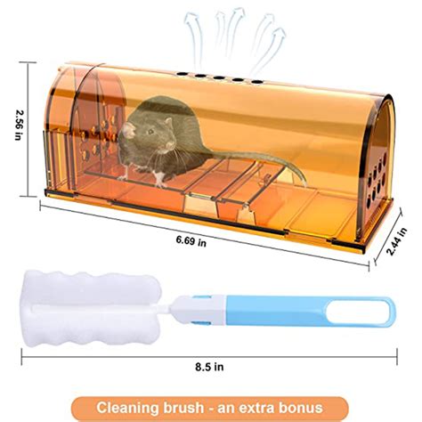 Plastic Mouse Traps Quick And Effective Indoor Rat Trap Factory Made