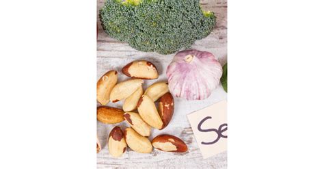 Selenium Market Size Share Growth Trends Industry Analysis Forecast Technavio