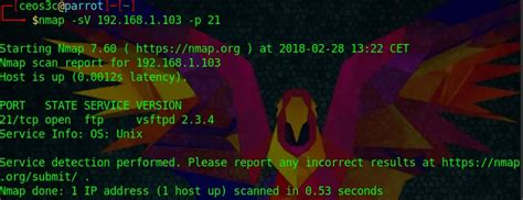Check Protocol Versions With Netcat