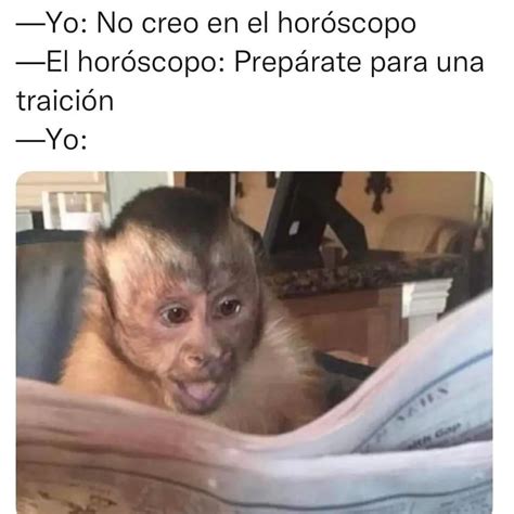 Cuánto falta para que se acabe el año Pues Memes
