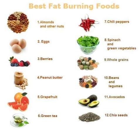Top 3 Healthy Fats To Eat To Lose Weight — Eating Enlightenment