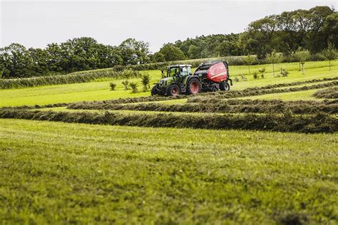 Hd Wallpaper Hay Bales Meadow Agriculture Straw Bales Round Bales