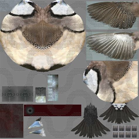 Double Barred Finch Owl Finch 3D Model 199 Obj Fbx Max Lwo