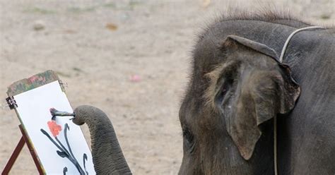 Производительность СУБД Postgresql — расчет метрики временной анализ параметрическая