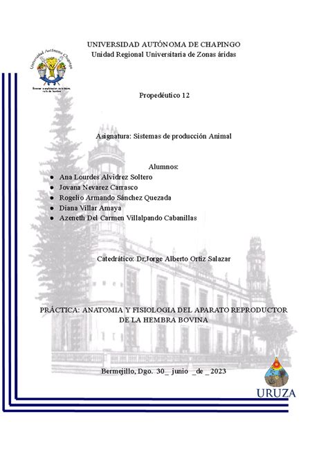 Practica DE Anatomia DEL Aparato Reproductor DELA VACA UNIVERSIDAD