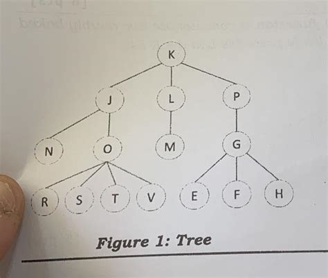 Solved Based On Figure 1 Tree Solve The Questions 4−9