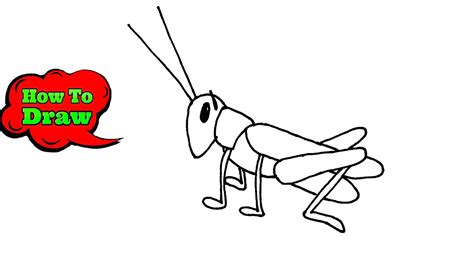 Easy Grasshopper Drawing