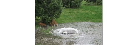 1 Water Escapes Through A Manhole During An Overflow Event 6 Download Scientific Diagram