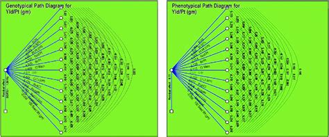 Genotypic A And Phenotypic B Path Coefficient Analysis For Yield In Download Scientific