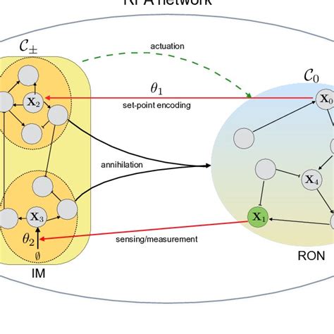Generic Decomposition Of Stochastic Maxrpa Networks Depicts The
