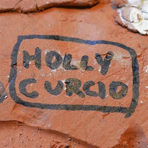 Curcio The Marks Project