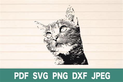 Cat Silhouette Graphic By Happy Bamboo · Creative Fabrica