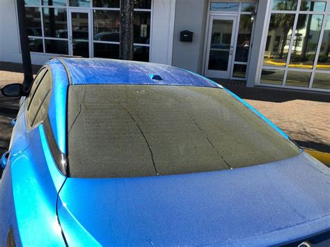 The Pollen Count In Myrtle Beach Is Spiking Heres How Bad Itll Be