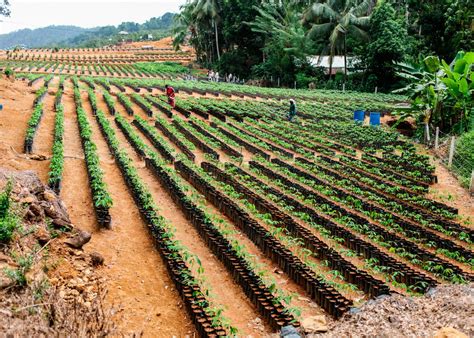 Yulex 2 0 Outdoor Swimmer Magazine