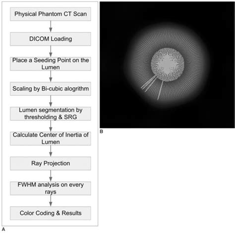 Software Design And Image Display A Schematic Workflow Diagram For Download Scientific