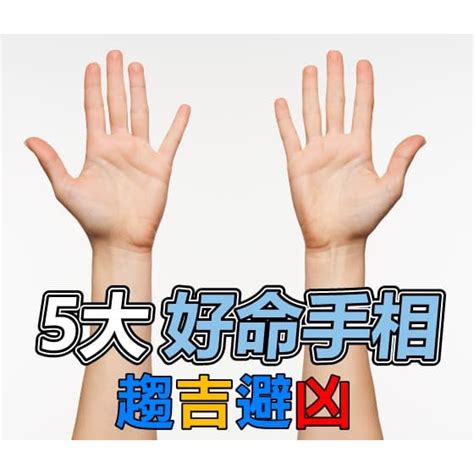 閒聊 手相算命 紫微、八字命理 「理智線」、「生命線」、「感情線」、「事業線」，手相基本、進階、命理、塔羅牌、星座、面相、紫薇 工作板