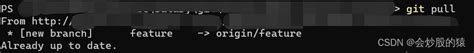 Git Prune Csdn