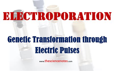 Electroporation Principle Types Protocol Applications And Advantages