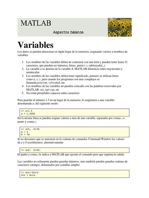 Variables En Matlab Pdf Variable Informática Cursor Interfaz