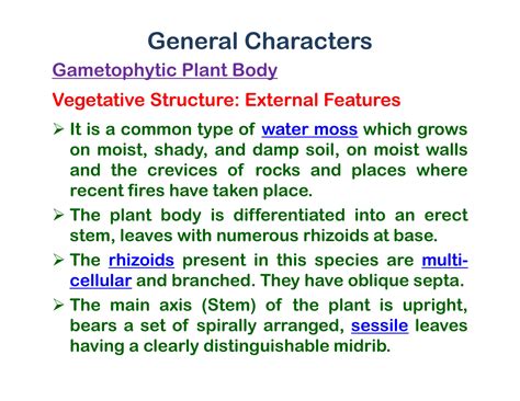 Solution Funaria Life Cycle Studypool