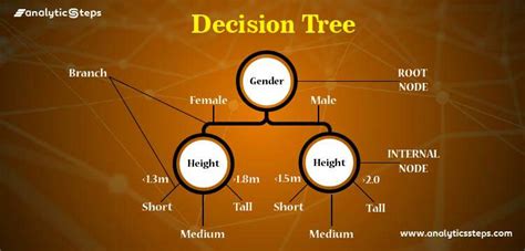 Introduction To Decision Tree Algorithm In Machine Learning Analytics Steps