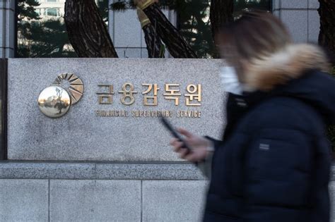 금감원 비리 등으로 면직된 직원에 985만원 수당 지급하다 적발 파이낸셜뉴스