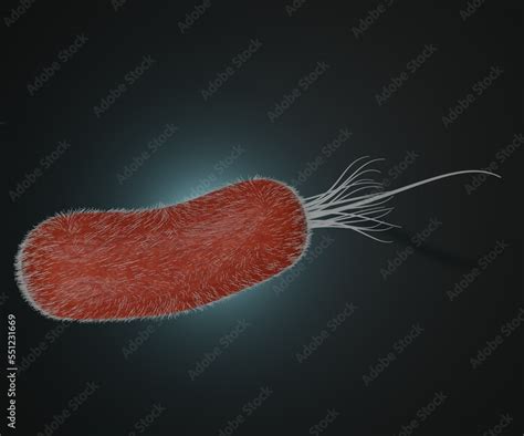 Isolated Pseudomonas Aeruginosa Is A Common Encapsulated Rod Shaped