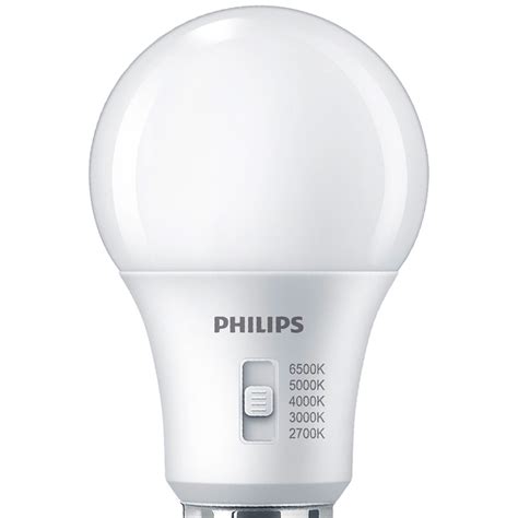 Dimmable Led Bulbs Dimmable Led Light Globes