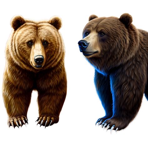 Download Bear Illustration Png 27