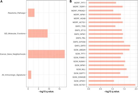Frontiers Mitochondrial Non Coding Rna In Nasopharyngeal Carcinoma
