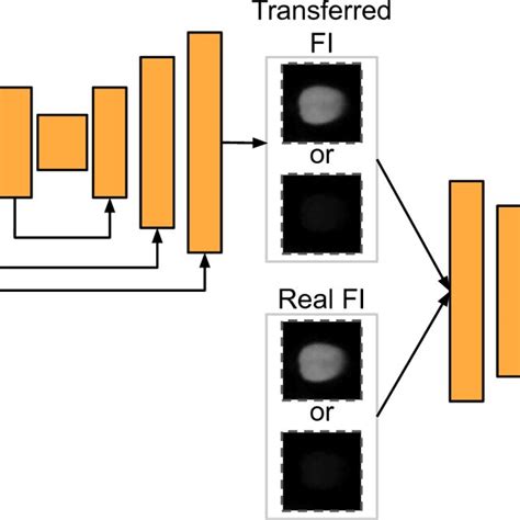 Shows The Pix2pix Architecture The Generative Adversarial Network
