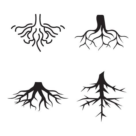 Aesthetic Tree Root Icon 49080345 Vector Art At Vecteezy