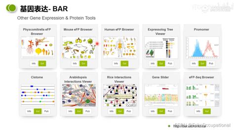 生物化学 单个基因生物信息学分析笔记单个基因的生物信息学分析 Csdn博客
