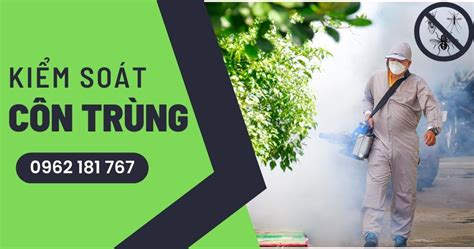 Công Ty Dịch Vụ Diệt Côn Trùng Tại Hà Nội Tận Gốc Và Giá Rẻ