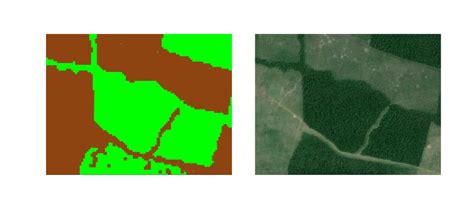 Forestnon Forest Classification Map Depicted In Green And Brown