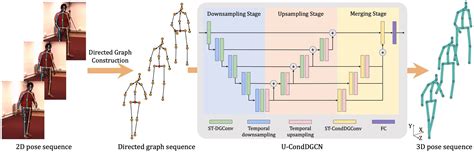 Conditional Directed Graph Convolution For 3d Human Pose Estimation