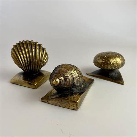 Brass Seashell Etsy