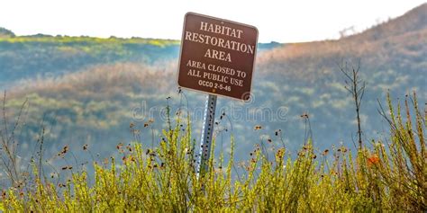 Habitat Restoration Stock Image Image Of Forest Woods 28457621
