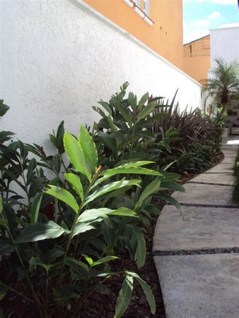 Jardins Sem Grama Homify