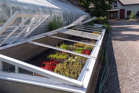 Cold Frame Uses At William Jaramillo Blog