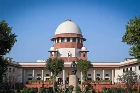 अदालत के मना करने पर भी पेड़ों की कटाई क्यों की गई सुप्रीम कोर्ट ने