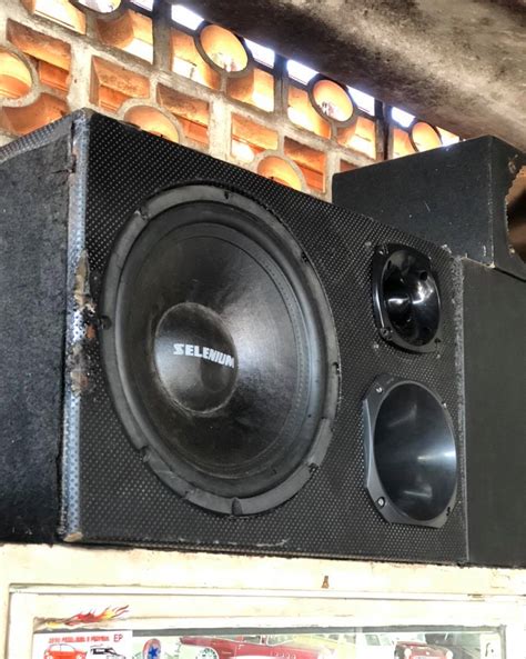 Chiquinhosom67 Selenium Caixa Trio • Falante Facebook