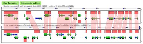 90 Genome Visualization And Comparative Genomics — Plants And Python