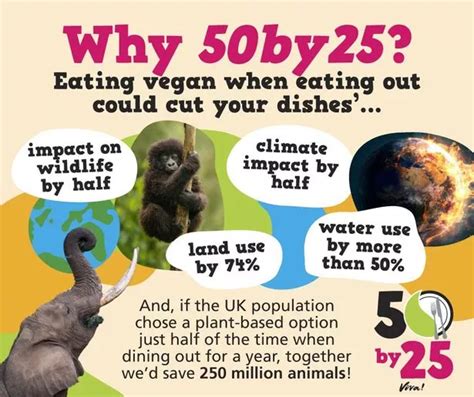 Vegan Charity Calls For Half Of Menu Options To Be Plant Based By The