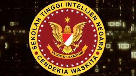 Berita Syarat Pendaftaran Stin 2024 Terbaru Hari Ini Tribunbatamid