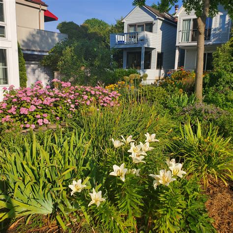 Annapolis Gardening Gardens Garden Girls Llc