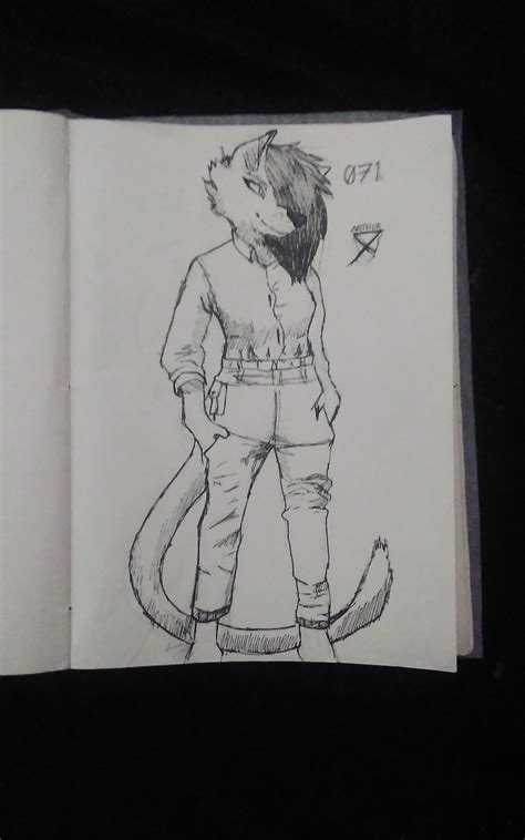 Furry Draw R Furry