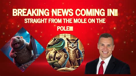 Judge Mcsteamy Orders Bruce To Respond Whatthehales