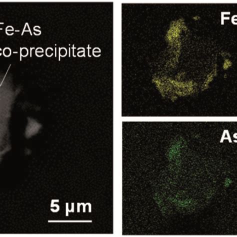 Sem Image And Eds Mapping Of Precipitate In The Sequential Removal Test Download Scientific